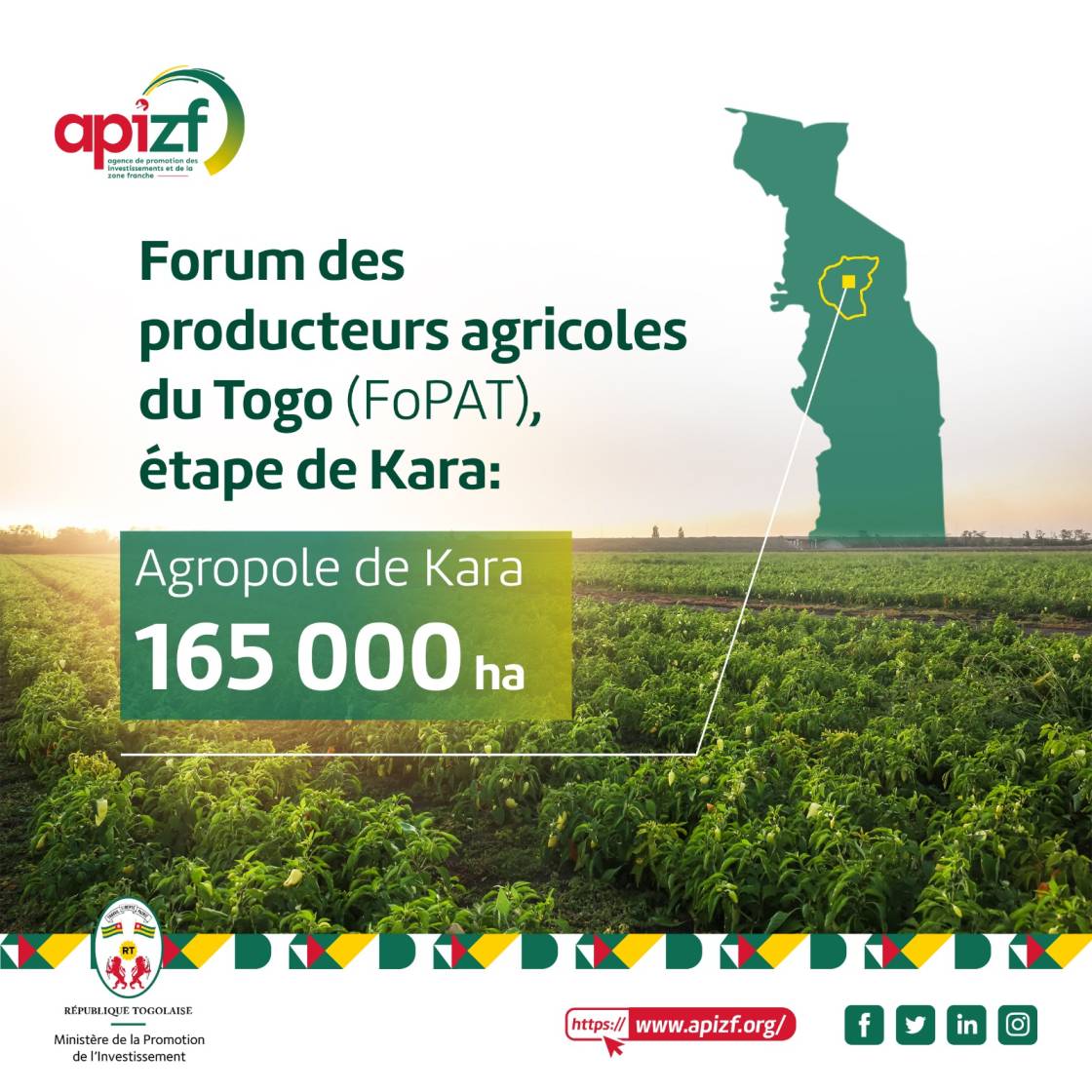 APIZF TOGO